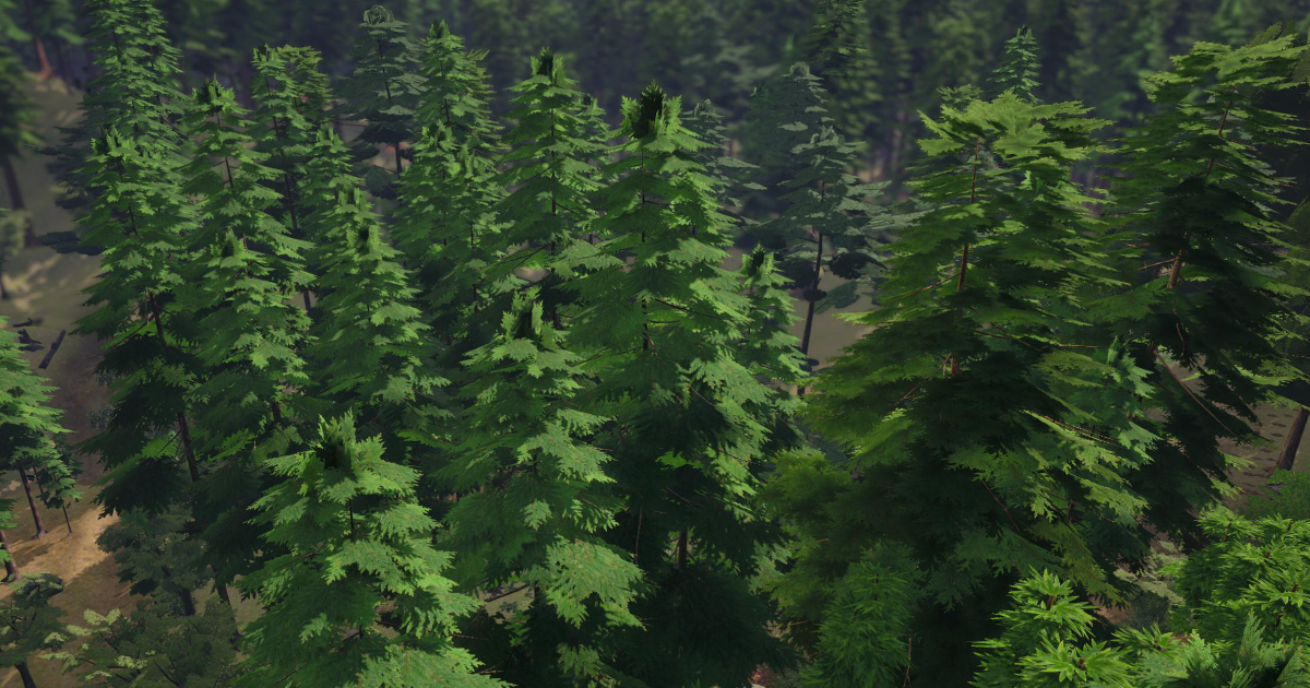 Essential Nature Pack | 3D Environments | Unity Asset Store