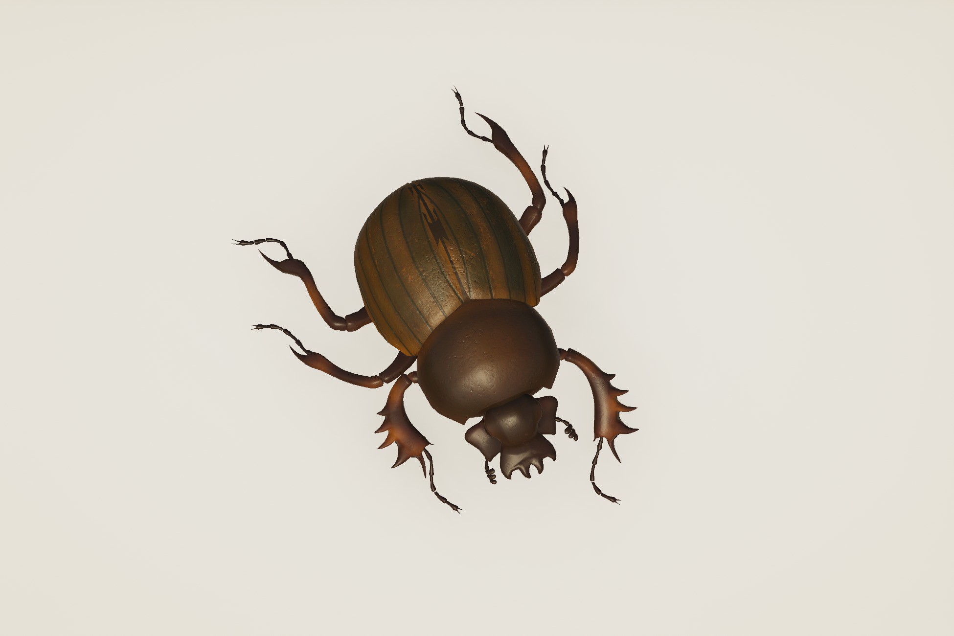 Low Poly Rigged Beetle Bug | Characters | Unity Asset Store