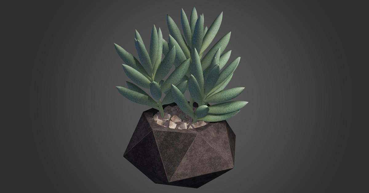 3D Silvery senecio : succulent in a pot | 3D Plants | Unity Asset Store