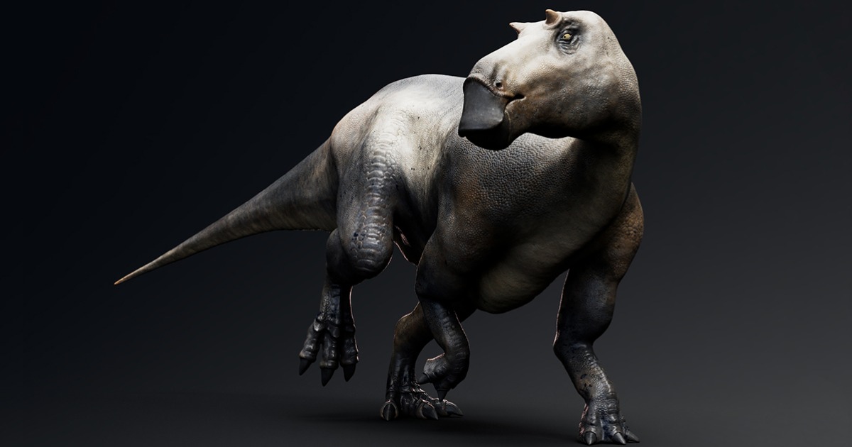 Maiasaura | 3D Creatures | Unity Asset Store