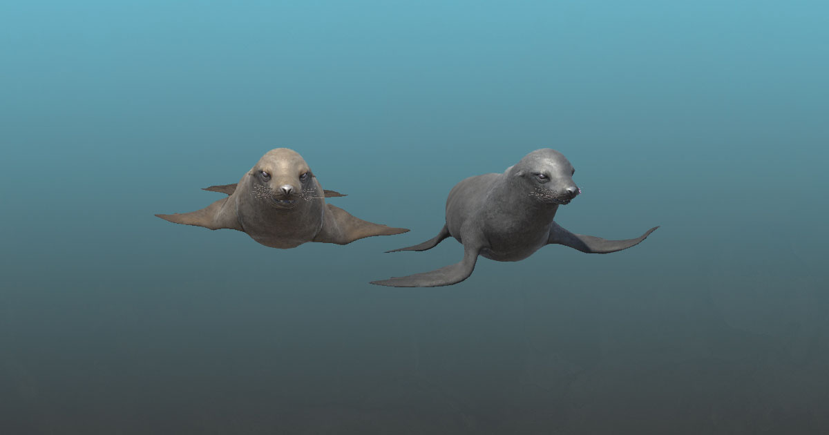 Arctic Animal Sea Lion (Short Version) | 3D Characters | Unity Asset Store