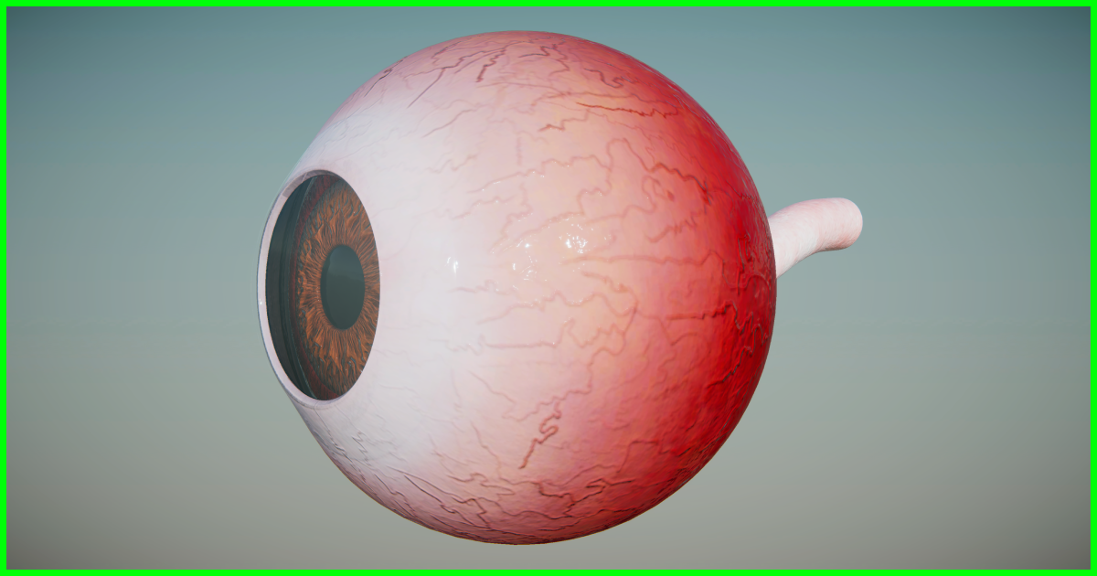 Human - Eye Anatomy | 3D Humanoids | Unity Asset Store Human - Eye Anatomy | 3D Humanoids | Unity Asset Store
