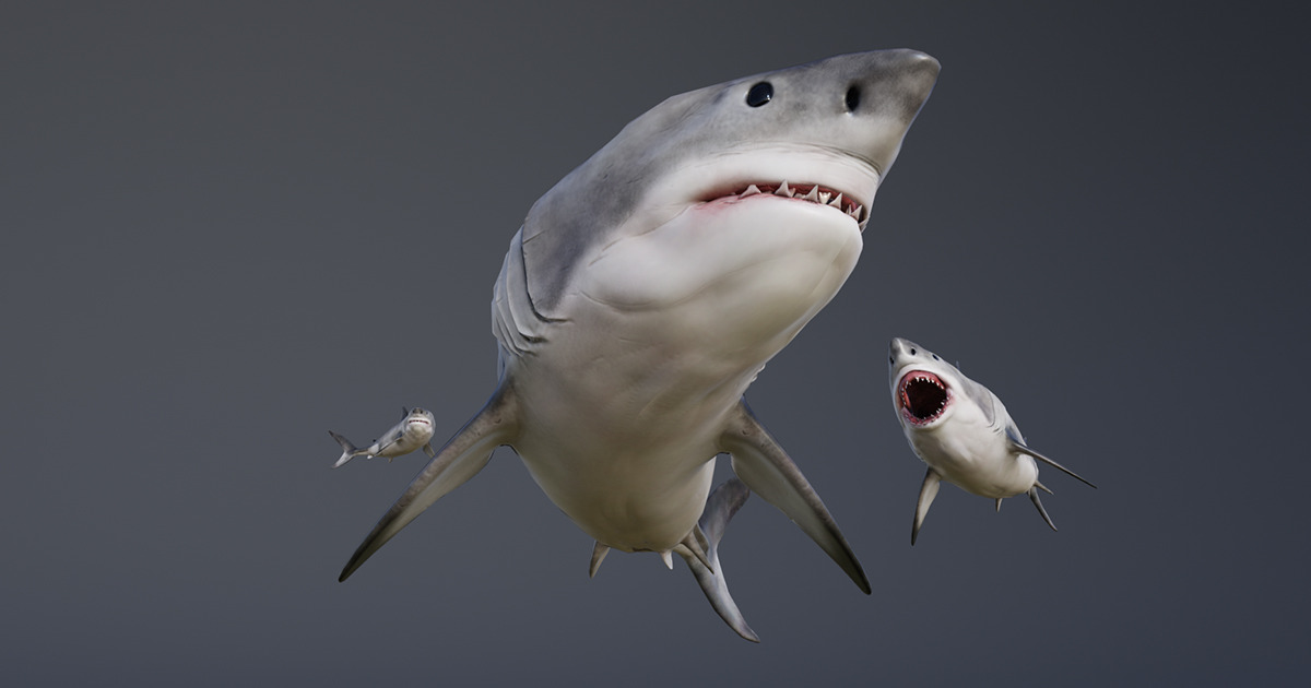 OCEAN LIFE: GREAT WHITE SHARK | 3D Animals | Unity Asset Store