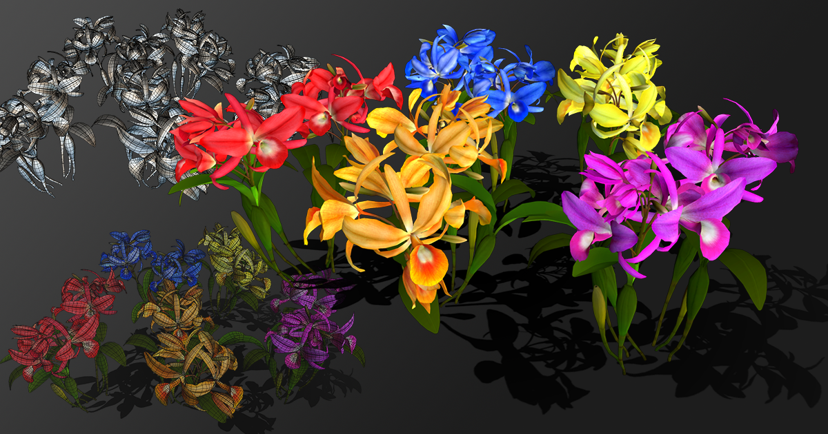 Flower Guarianthe | 3D Flowers | Unity Asset Store