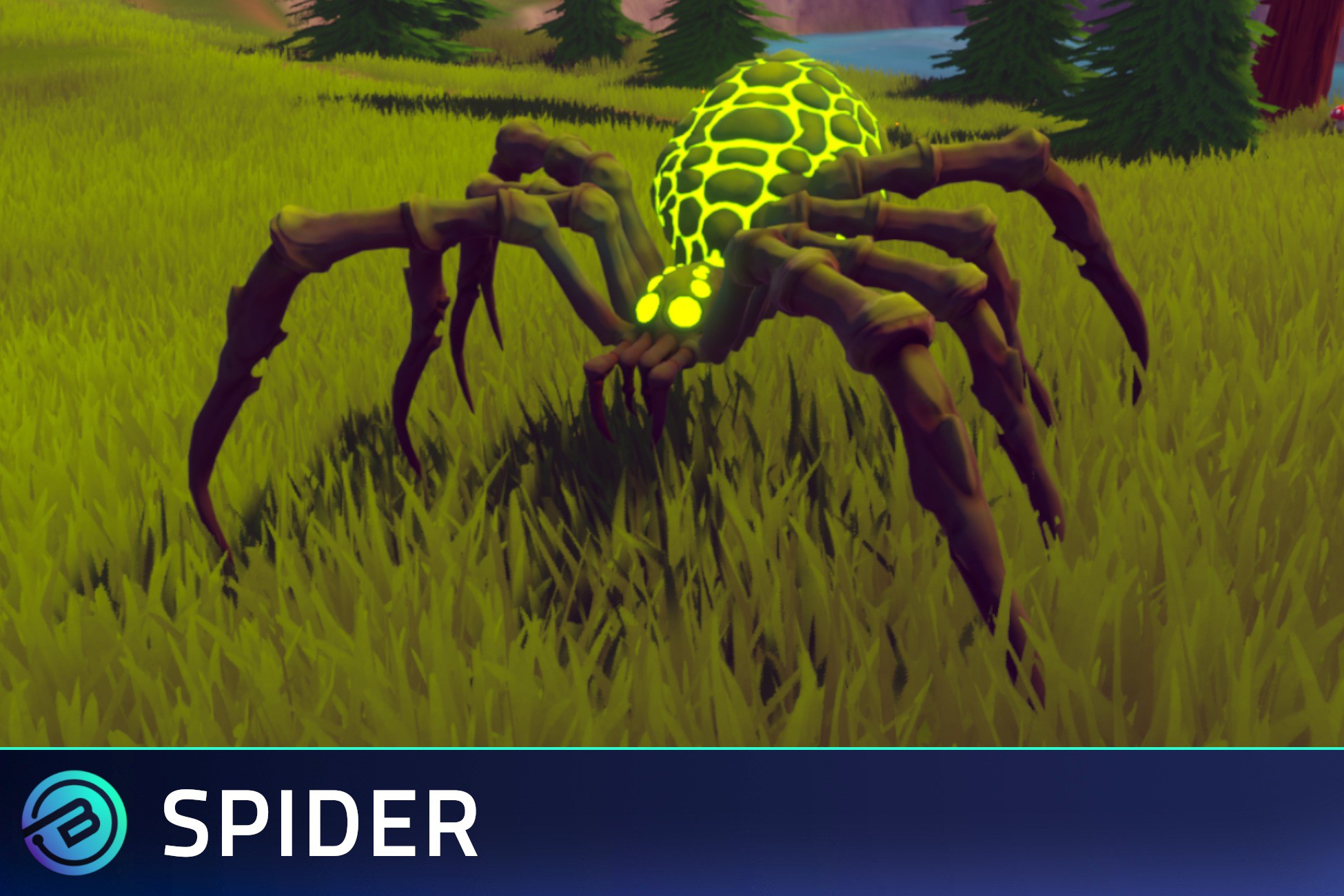 Stylized Spider - RPG Forest Animal | 3D Creatures | Unity Asset Store
