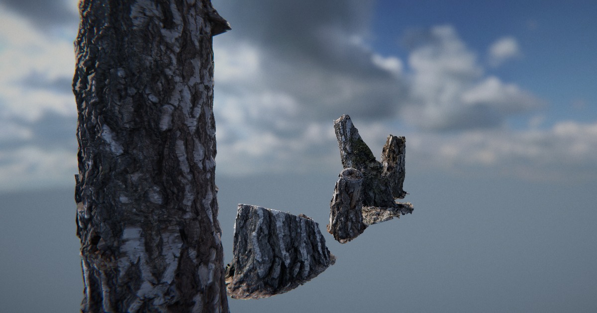 Scan Stump Vol.2 | 3D Vegetation | Unity Asset Store