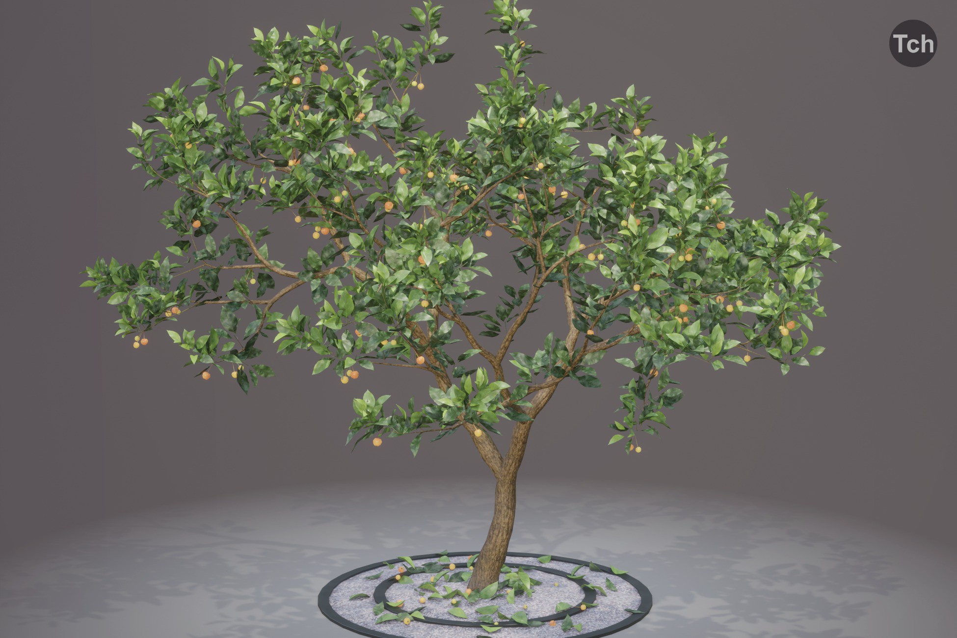 Summer tree (3D) | 3D Trees | Unity Asset Store
