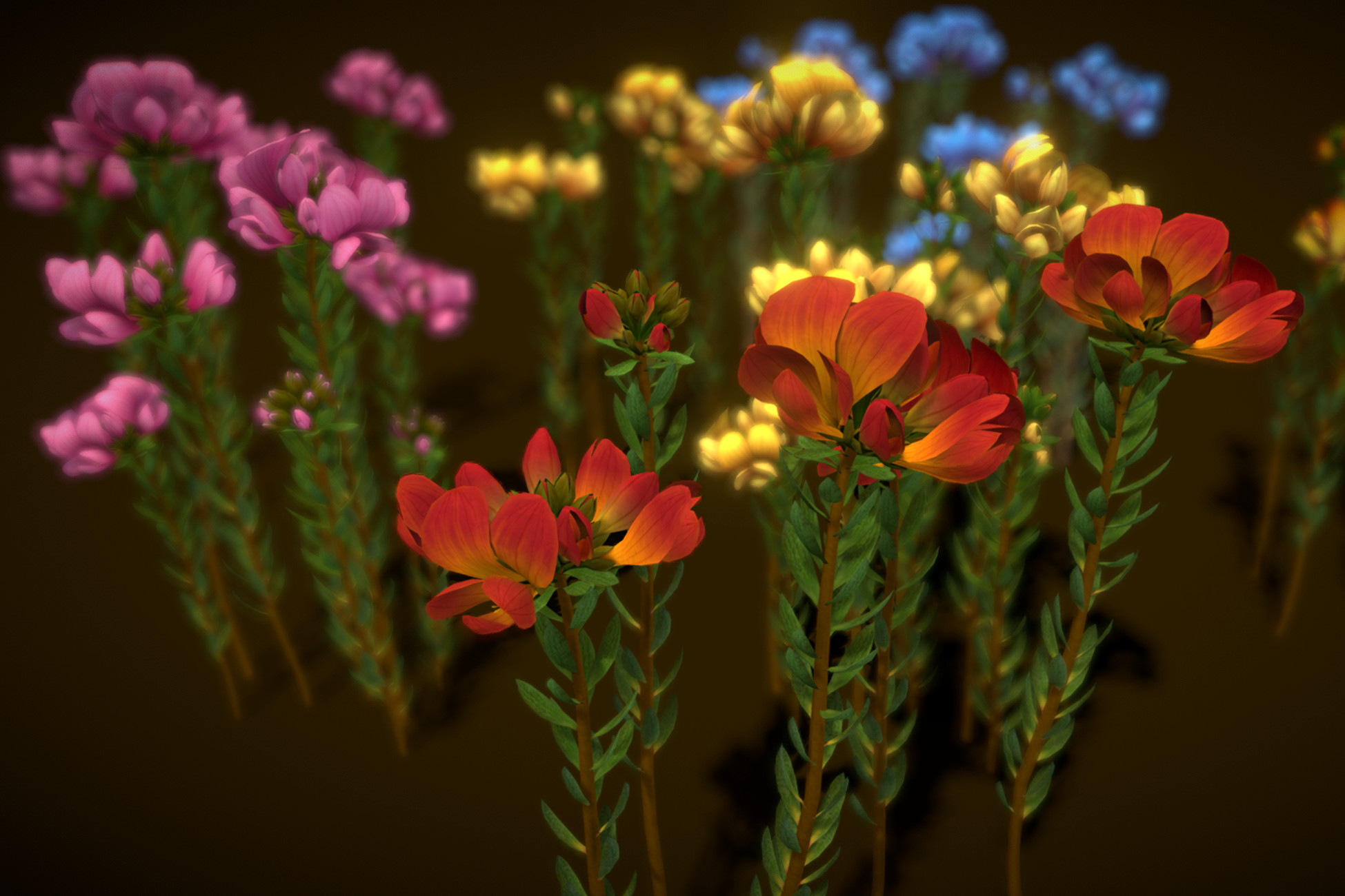 Flower Almaleea Subumbellata | 3D 꽃 | Unity Asset Store