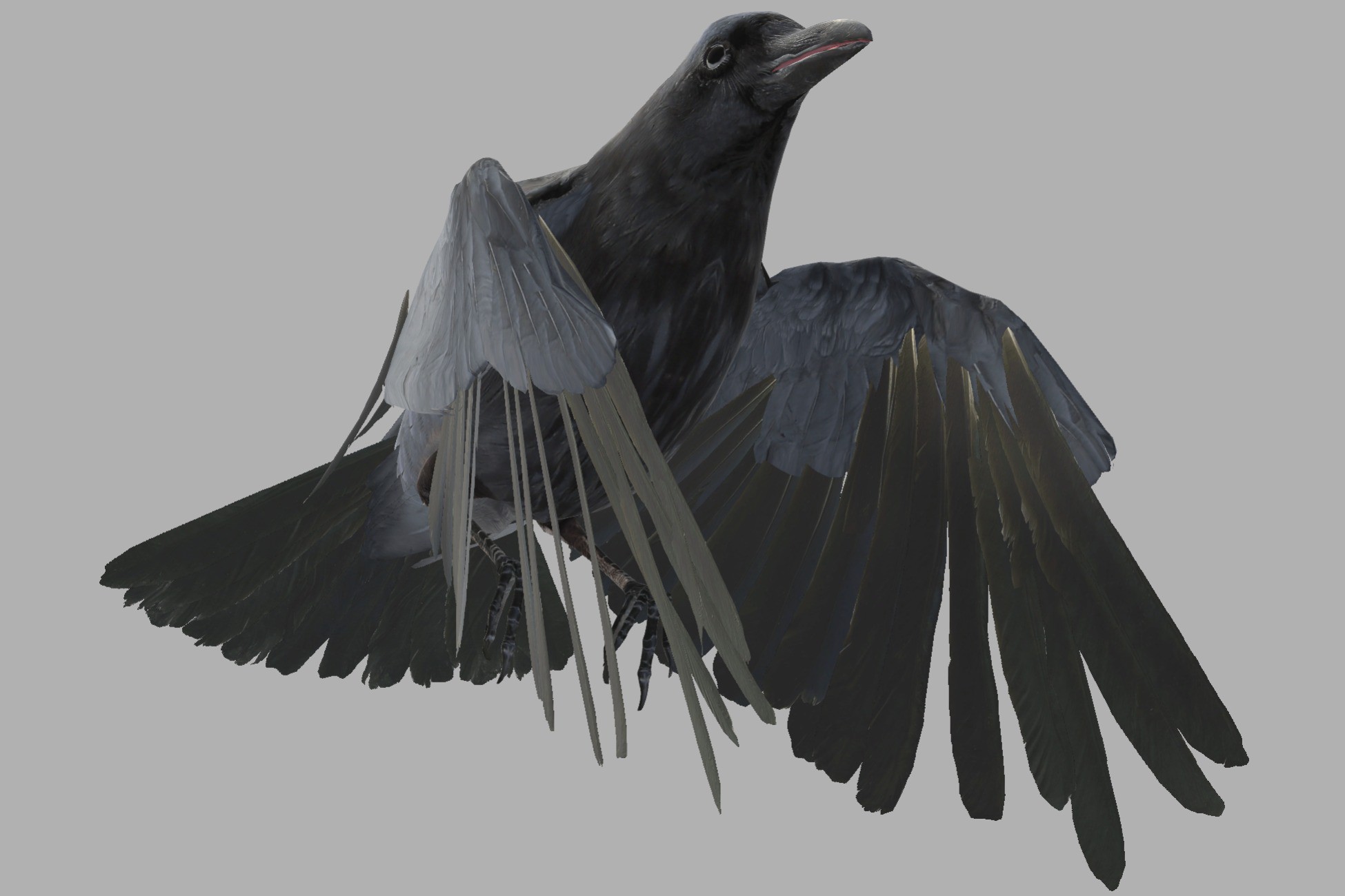 Crow pack | Characters | Unity Asset Store