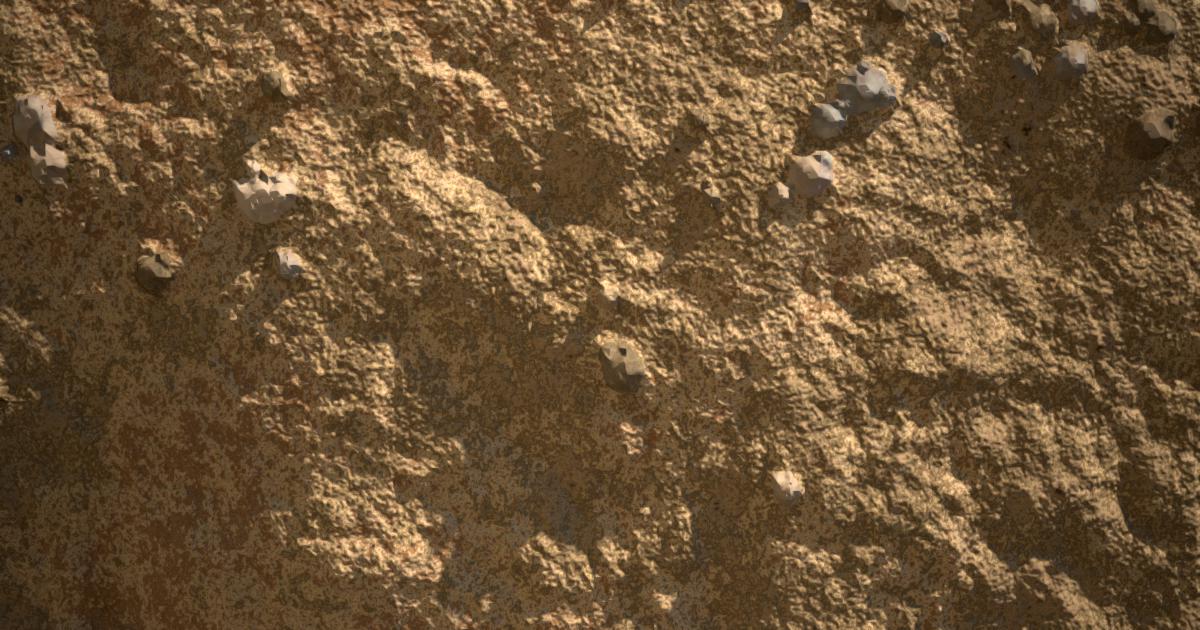 Dry Soil and Rocks PBR | 2D Floors | Unity Asset Store