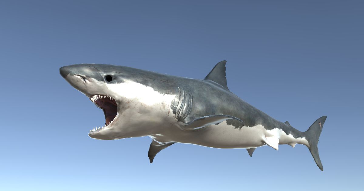 Animal Fish Shark White (Full Version) | Characters | Unity Asset Store