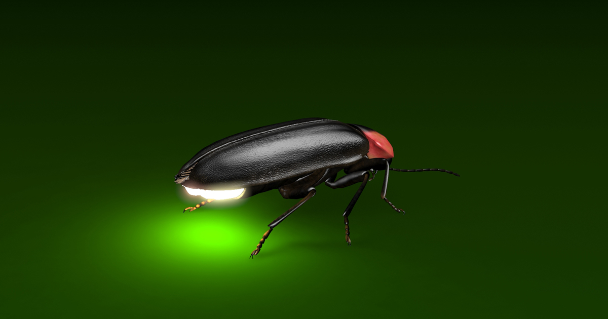 Firefly | Characters | Unity Asset Store