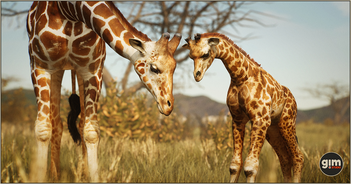 Animalia - Giraffe (pack) | Characters | Unity Asset Store