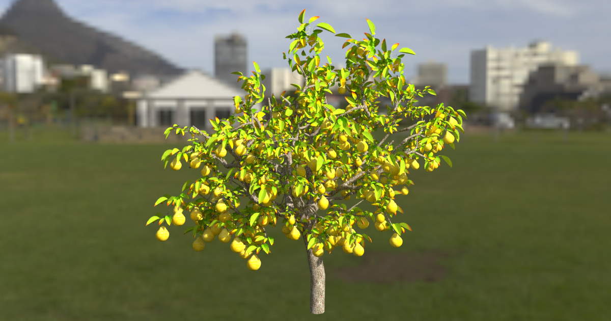 Colorful Pear Tree | 3D Trees | Unity Asset Store