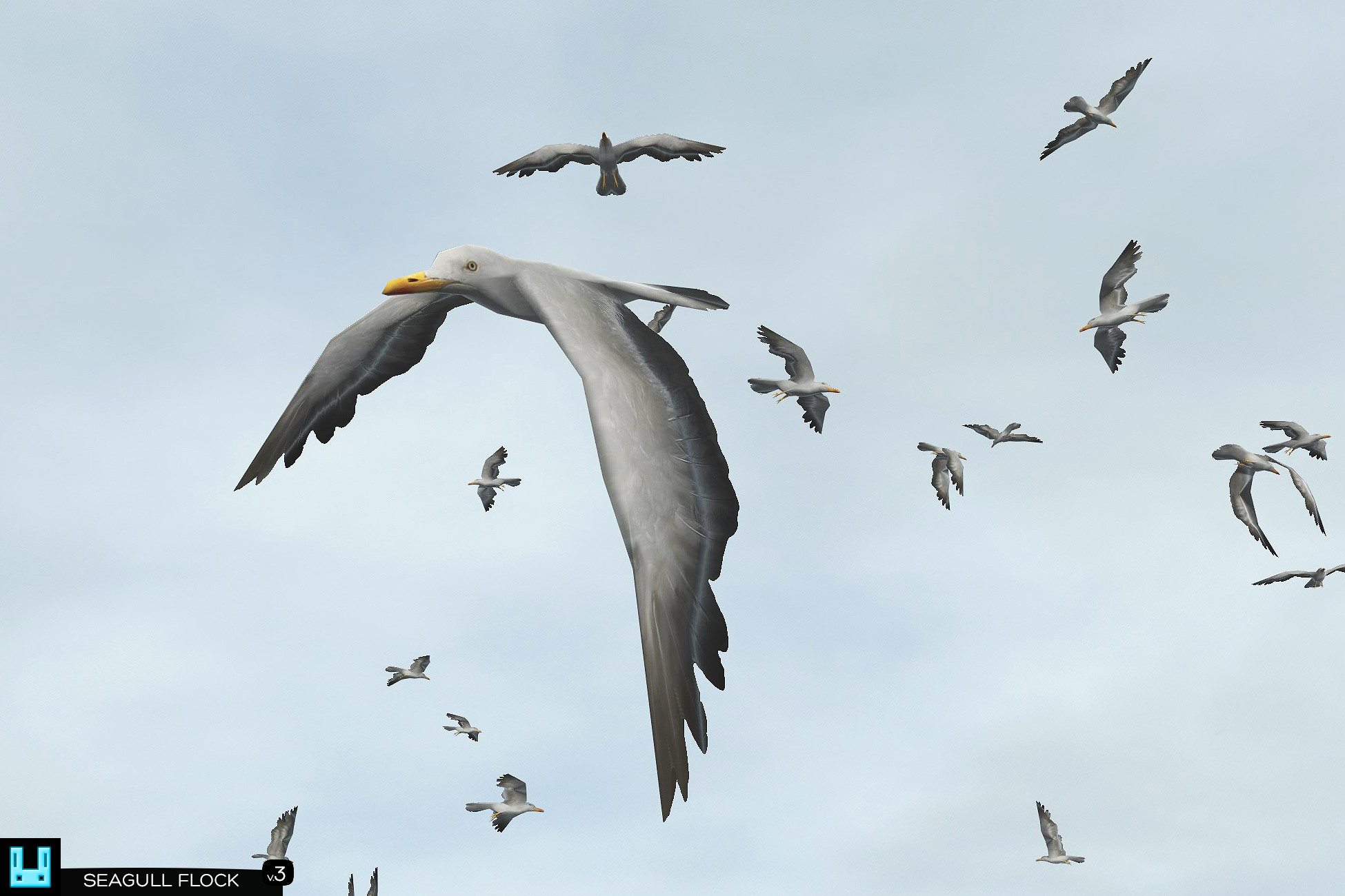 Bird Flock Seagull 2023 | Characters | Unity Asset Store