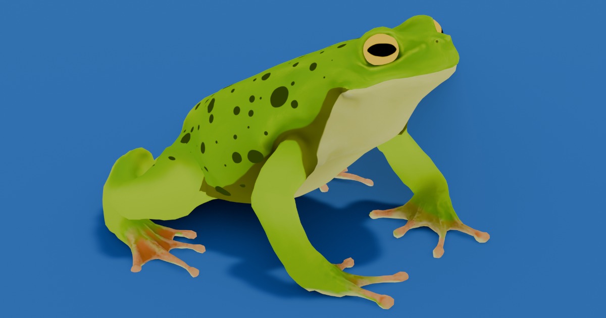 Animated Frog (Stylised) | 3D 动物 | Unity Asset Store