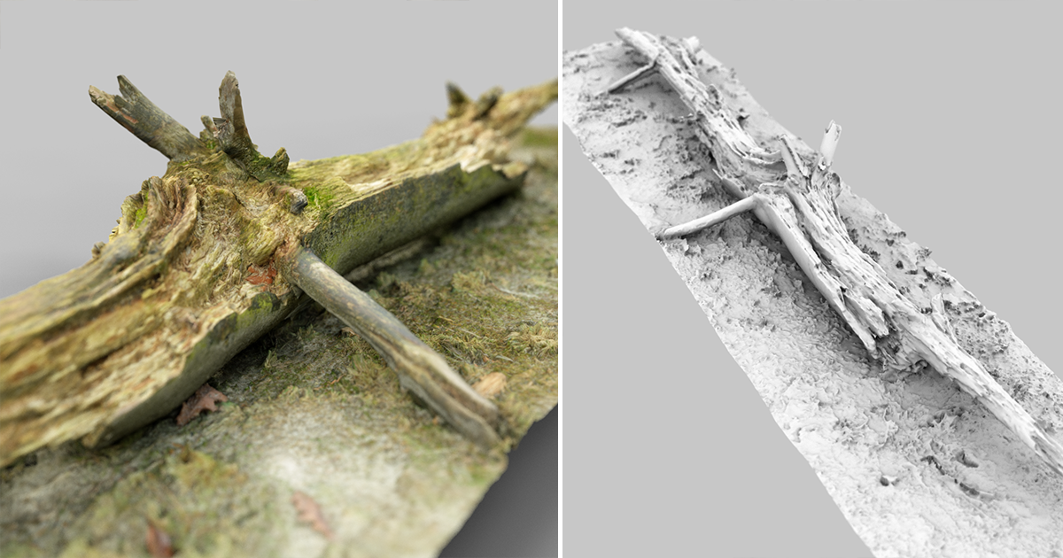 Ground Branch | 3D Trees | Unity Asset Store