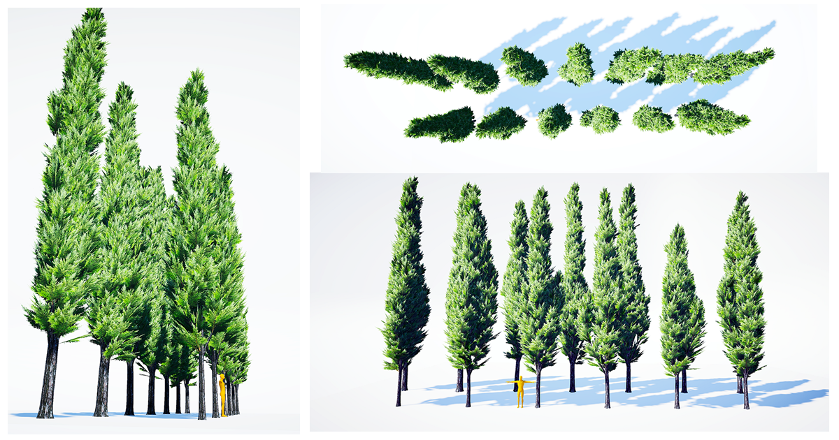 TreeGen04-JuniperTrees01 | 3D Trees | Unity Asset Store