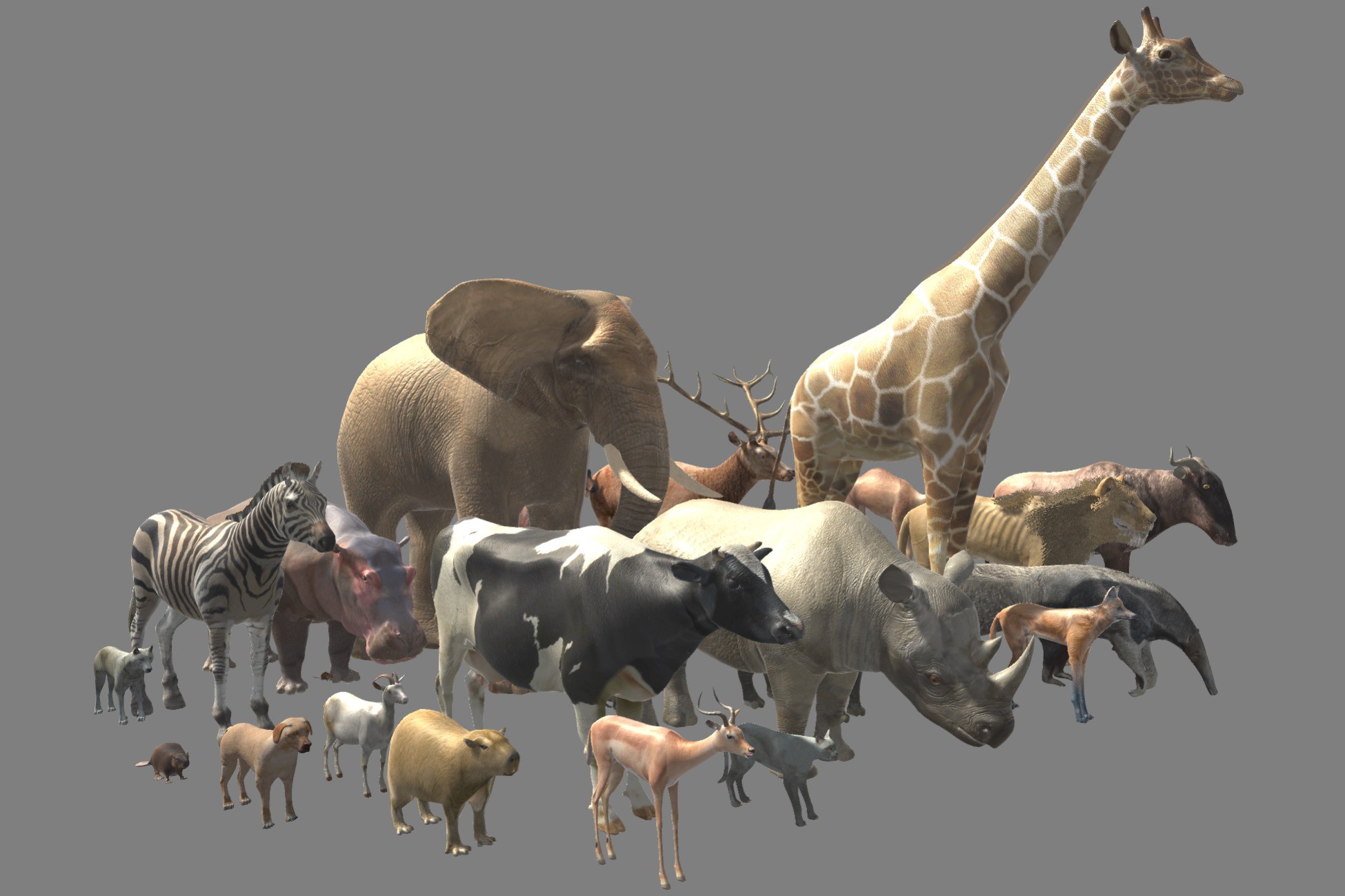 Land Mammals Pack | Characters | Unity Asset Store