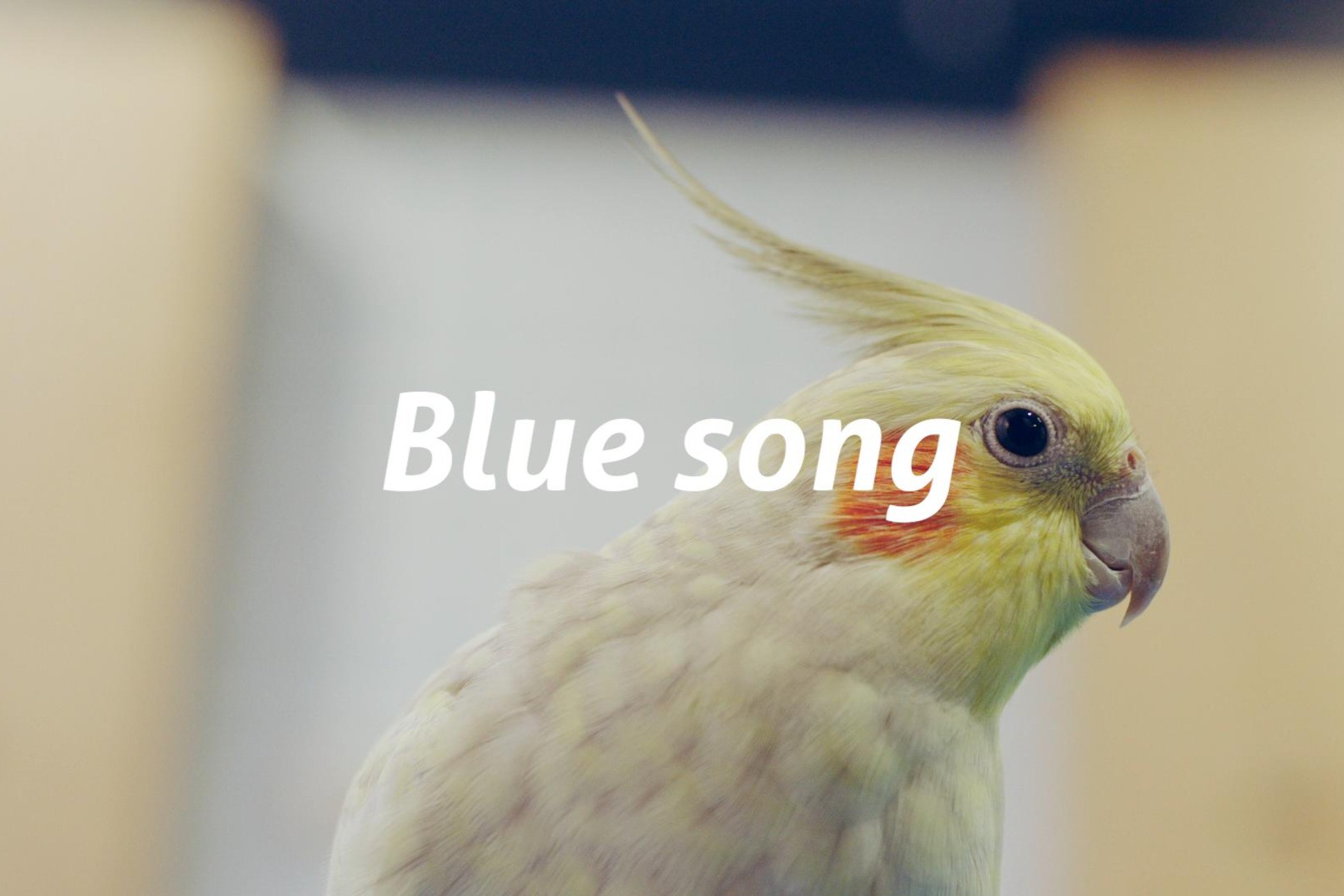 Blue song / Soundtrak | オーディオ 音楽 | Unity Asset Store