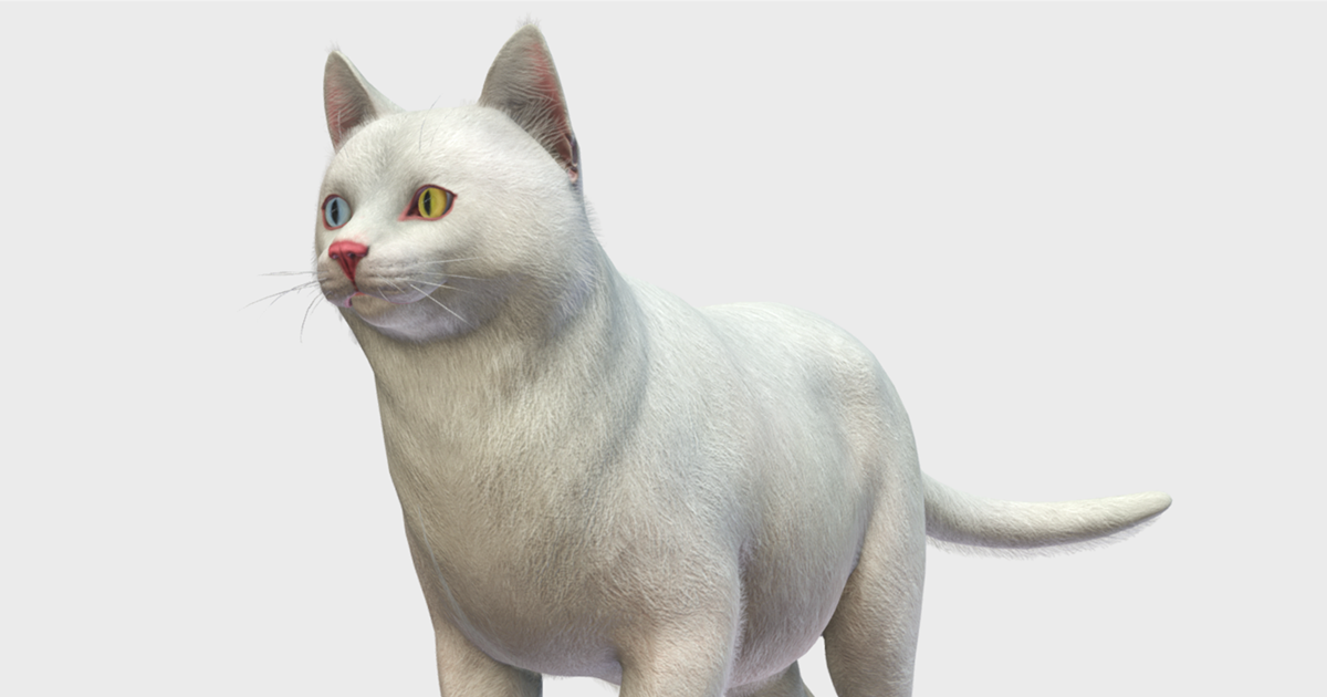 Cat - Fat | 3D Animals | Unity Asset Store