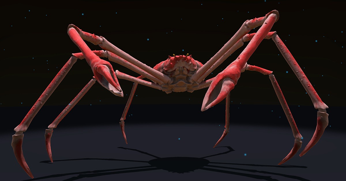 Spider Crab | 3D Creatures | Unity Asset Store