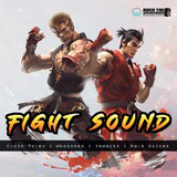 Cinematic Fight Sound Effects Pack (AAA)