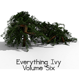 Everything Ivy - Volume Six