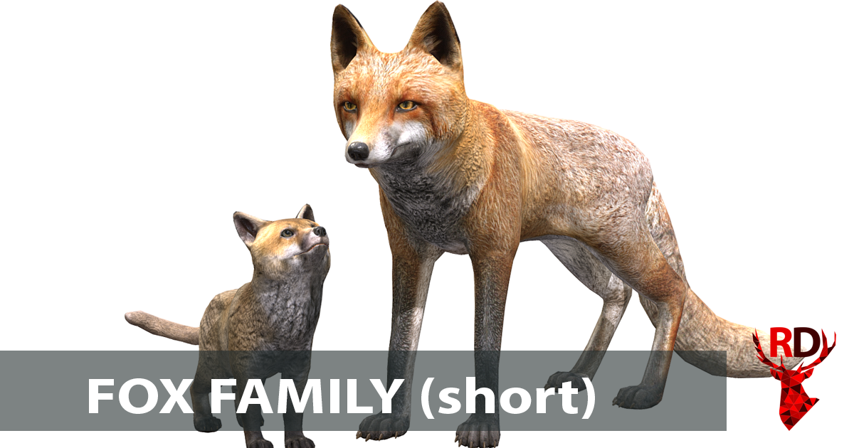 Fox family (short) | Characters | Unity Asset Store