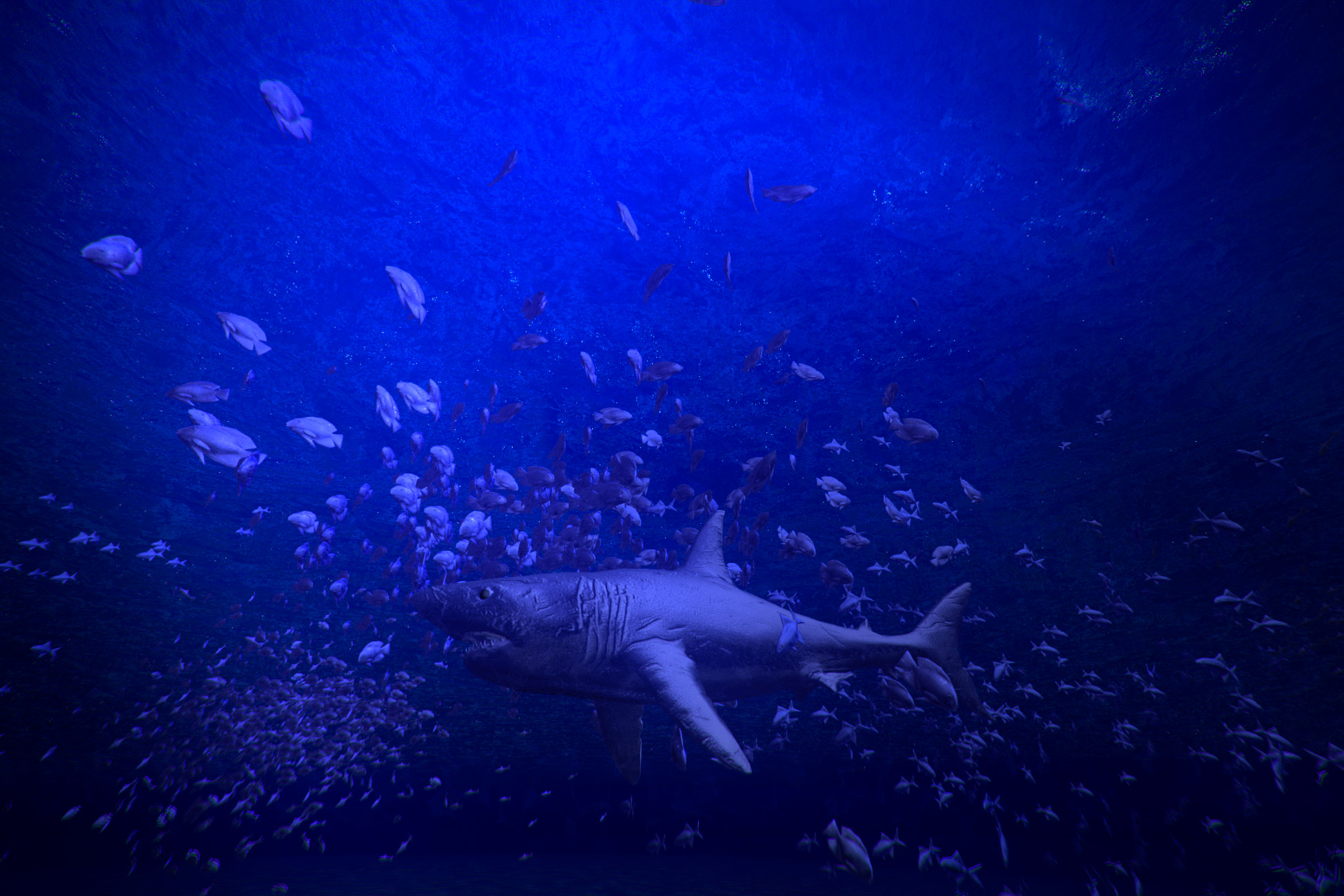 Simple Boids (Flocks of Birds, Fish and Insects) | 3D Animals | Unity ...