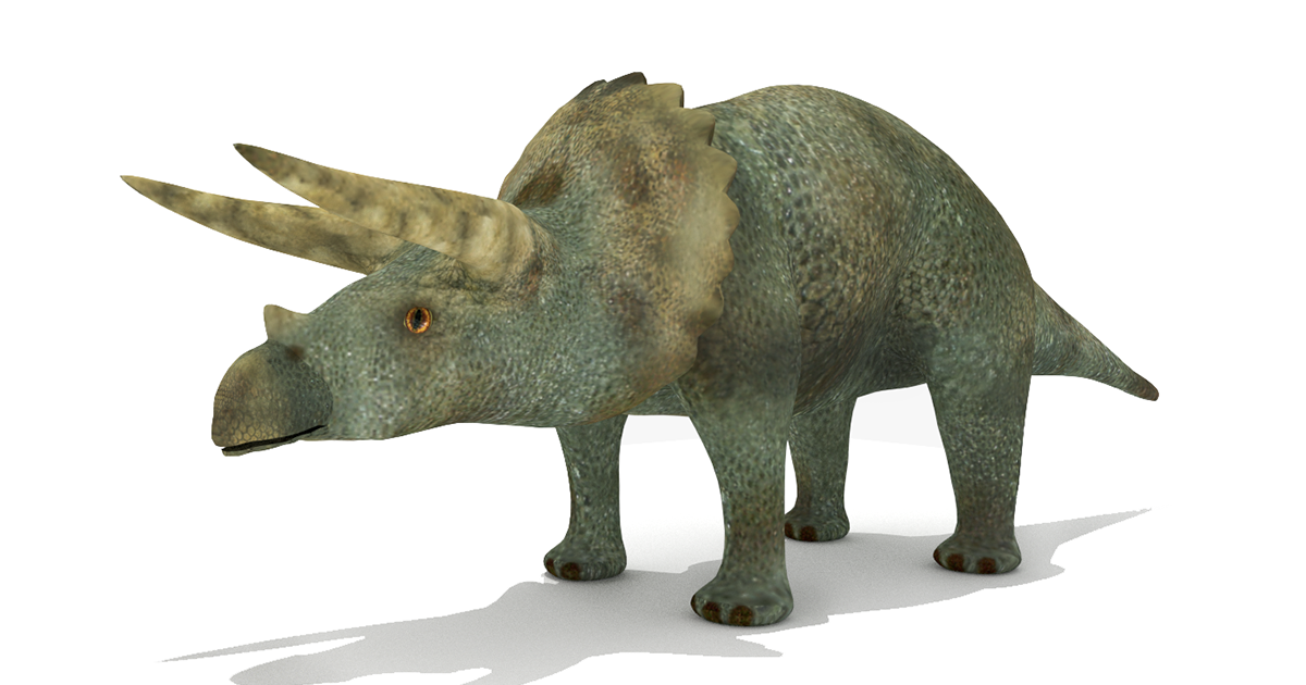 Triceratops Dinosaur - Animated | Characters | Unity Asset Store