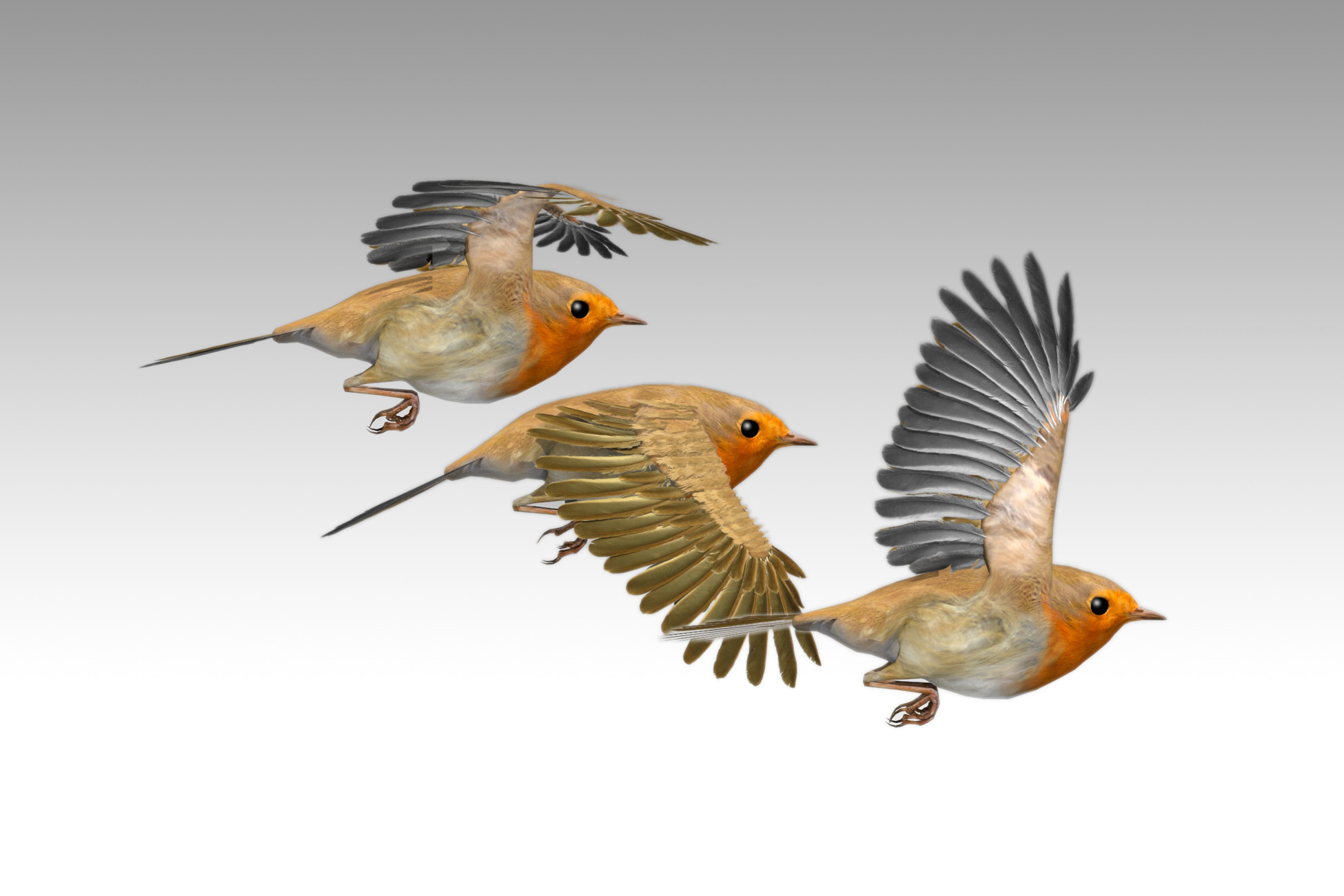 Robin | キャラクター | Unity Asset Store