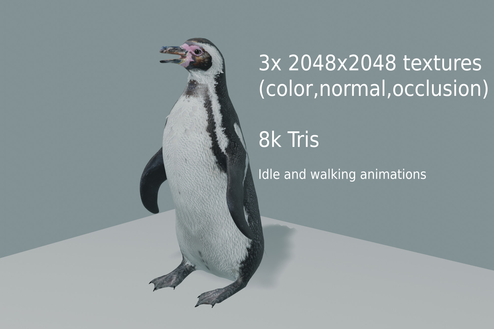 Penguin | Characters | Unity Asset Store