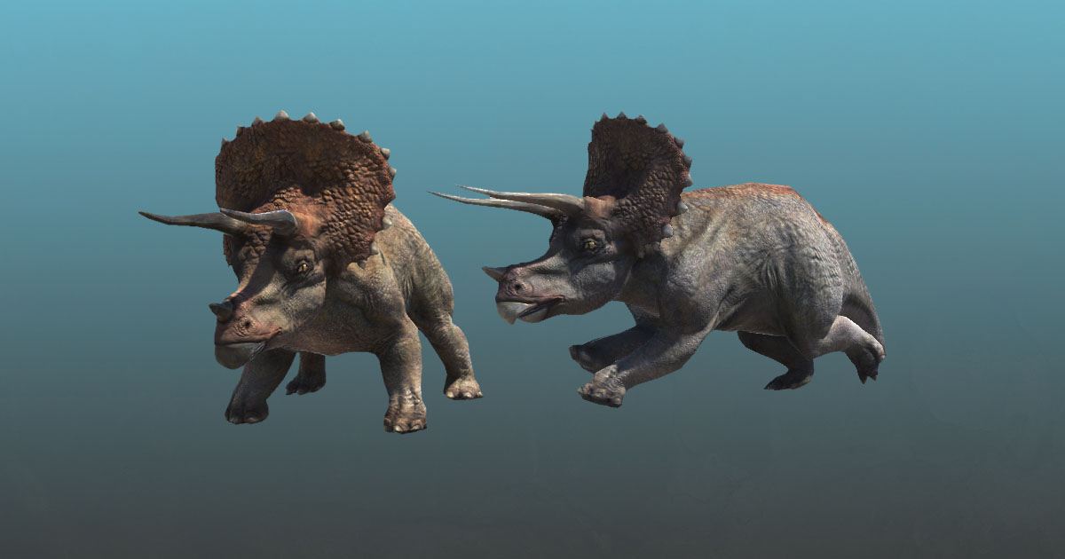 Dinosaur - Triceratops (Short Version) | 3D | Unity Asset Store