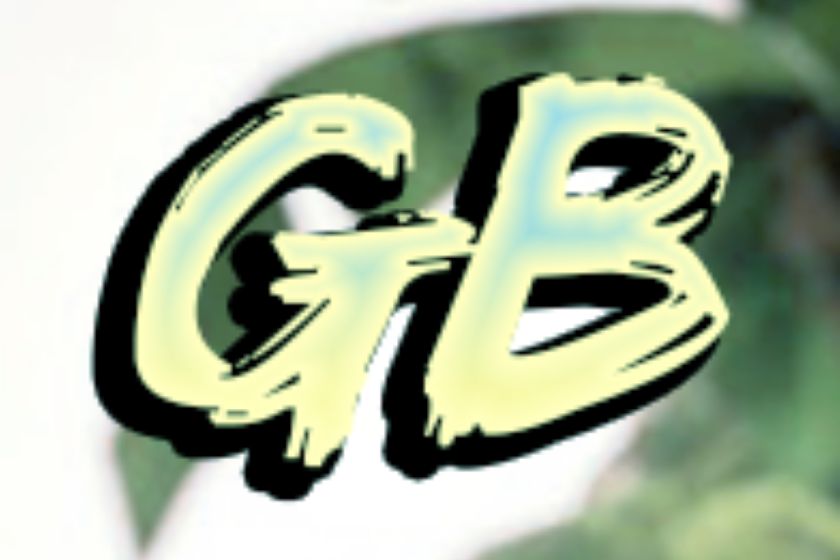 Golden Raven Studio - Asset Store