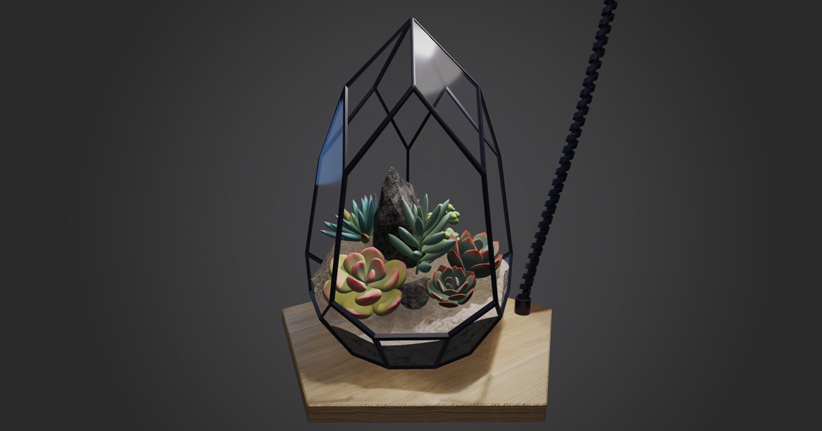 3D Florarium with succulents | 3D Plants | Unity Asset Store