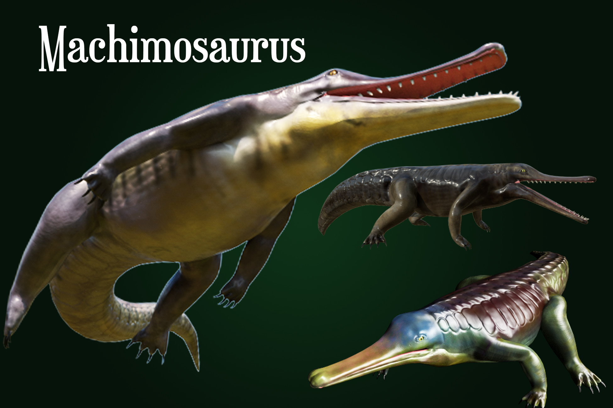 Machimosaurus | Characters | Unity Asset Store