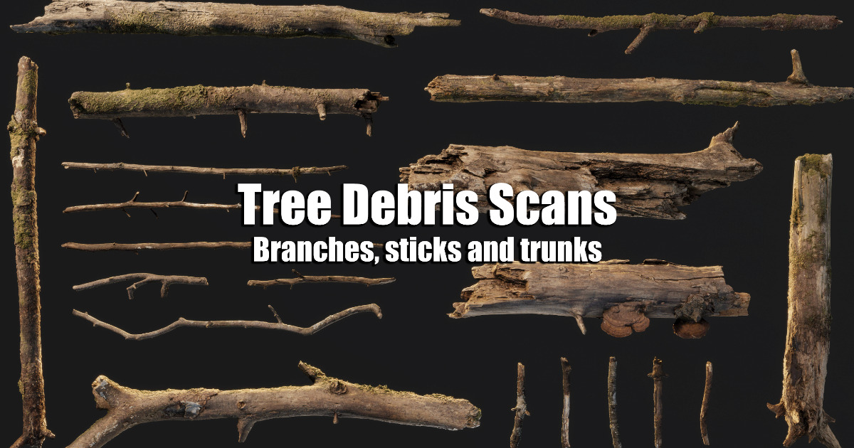 Tree Debris Scans - Branches, sticks and trunks | 3D Props | Unity ...
