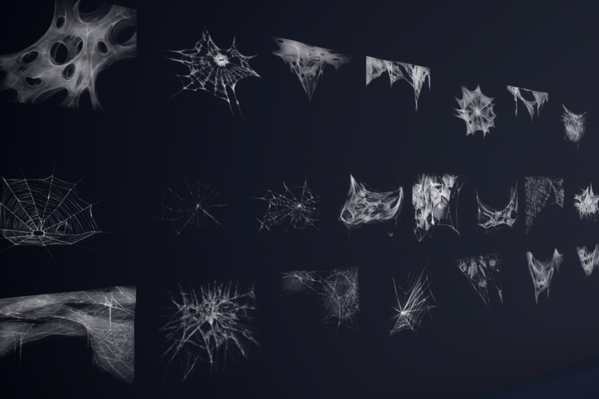 Animated Spiderweb Collection | 2D Nature | Unity Asset Store