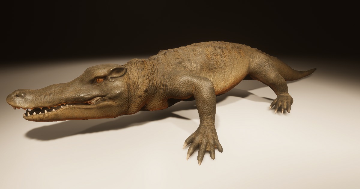 Alligator HD | Characters | Unity Asset Store