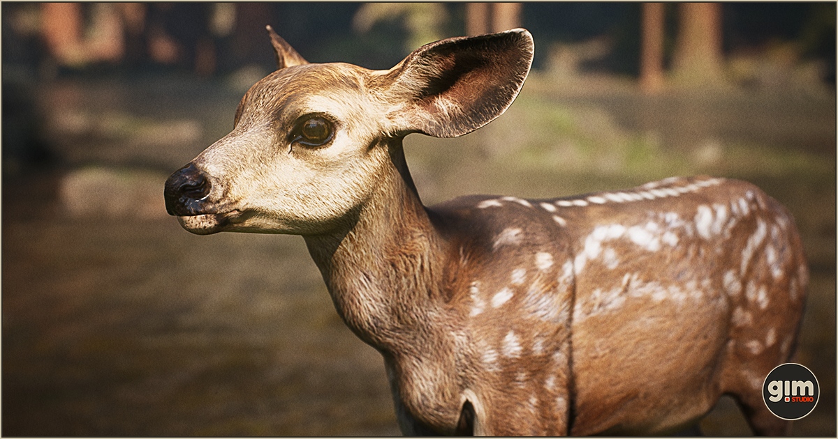 Animalia - Mule Deer (young) | 3D Animals | Unity Asset Store