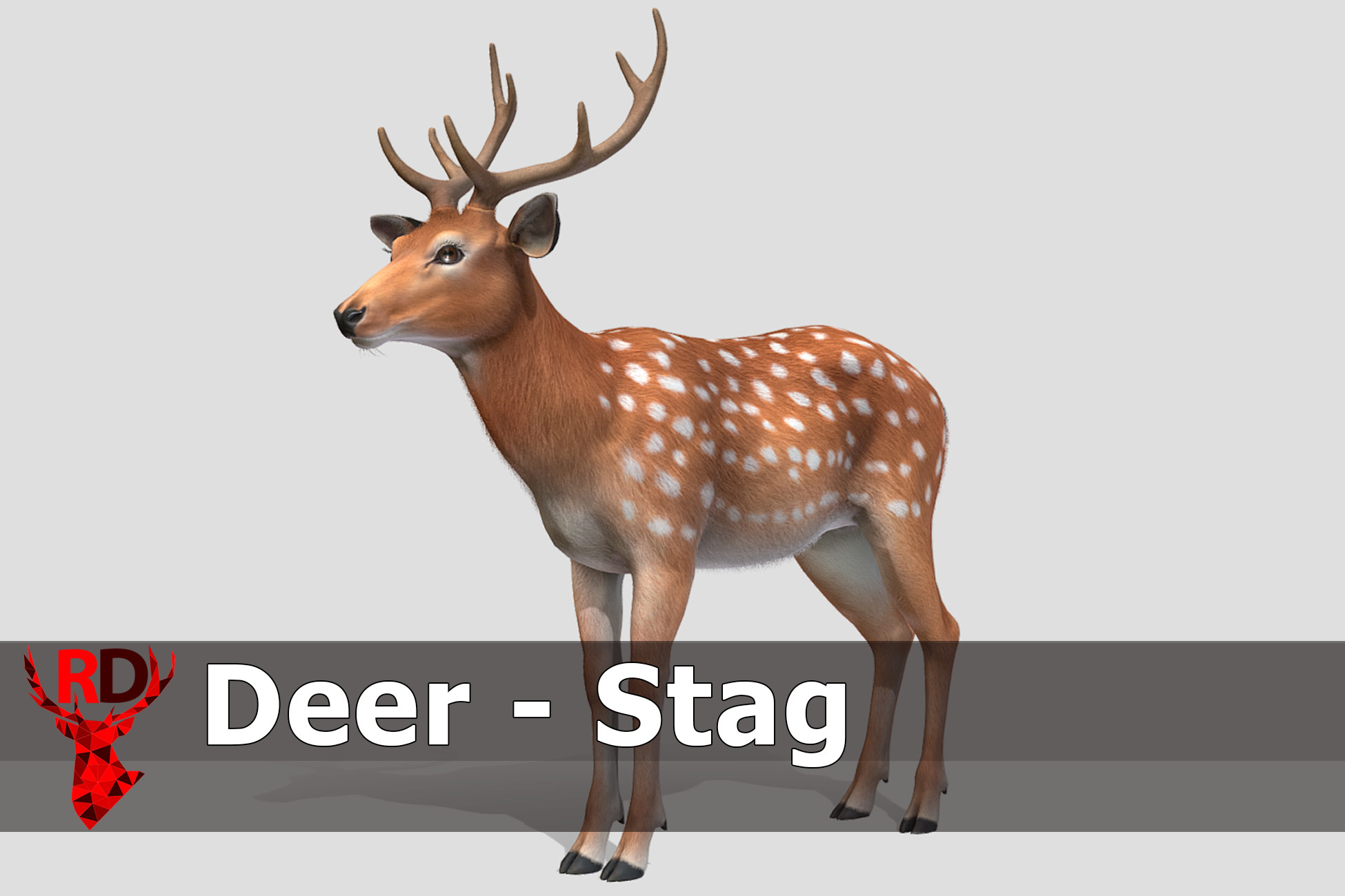 Deer - Stag | Characters | Unity Asset Store