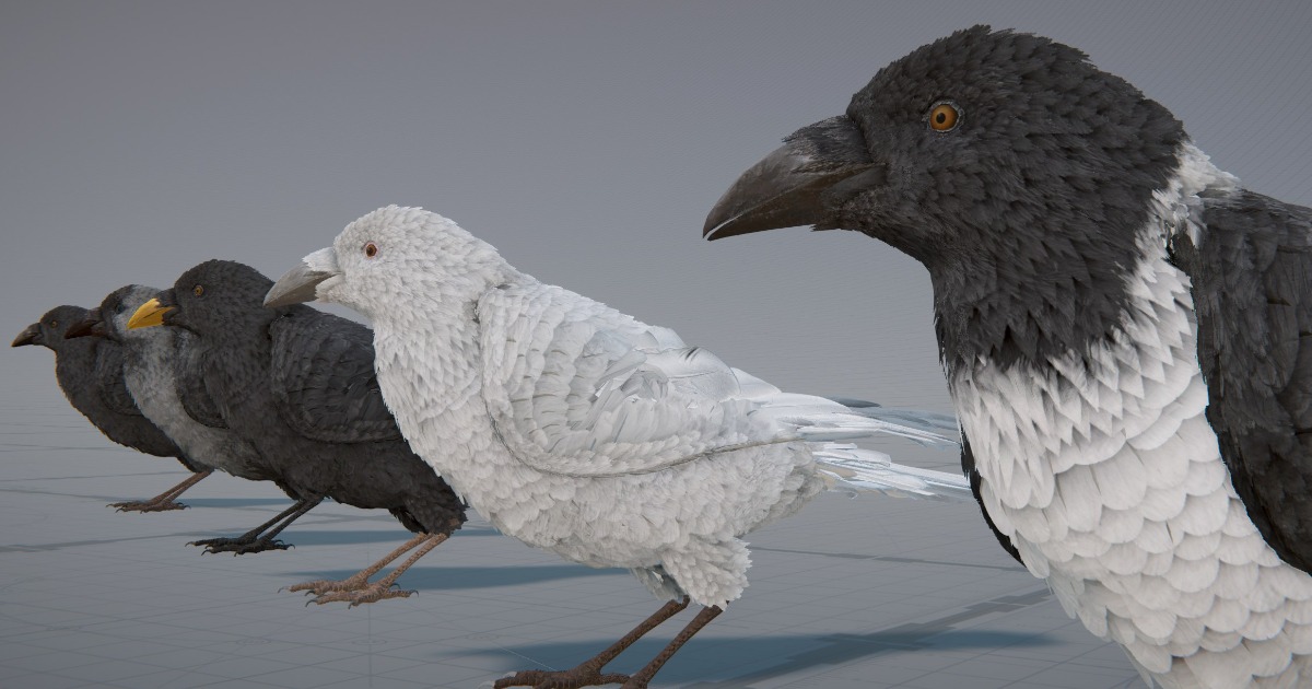Ravens and Crows | Characters | Unity Asset Store