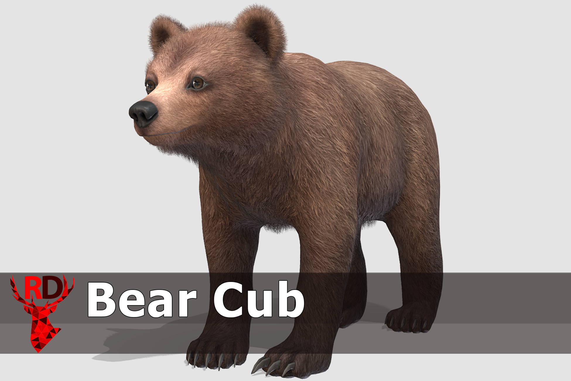 Bear - Cub | Characters | Unity Asset Store
