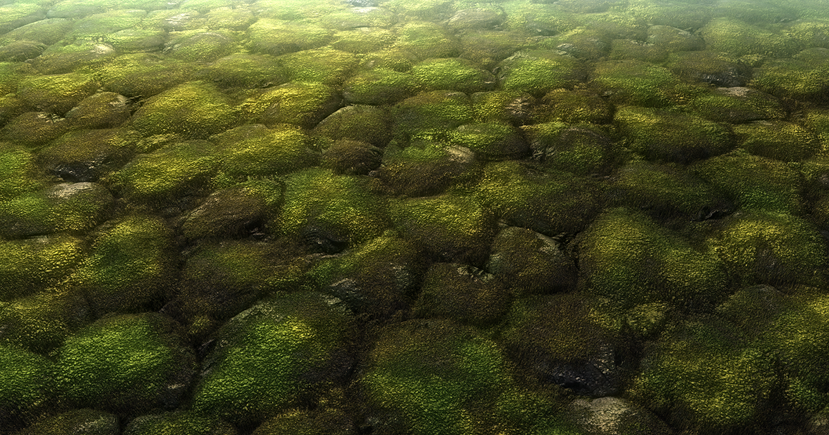 PBR Mossy Stones 1 | 2D Textures & Materials | Unity Asset Store