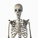 Skeletons and bones pack