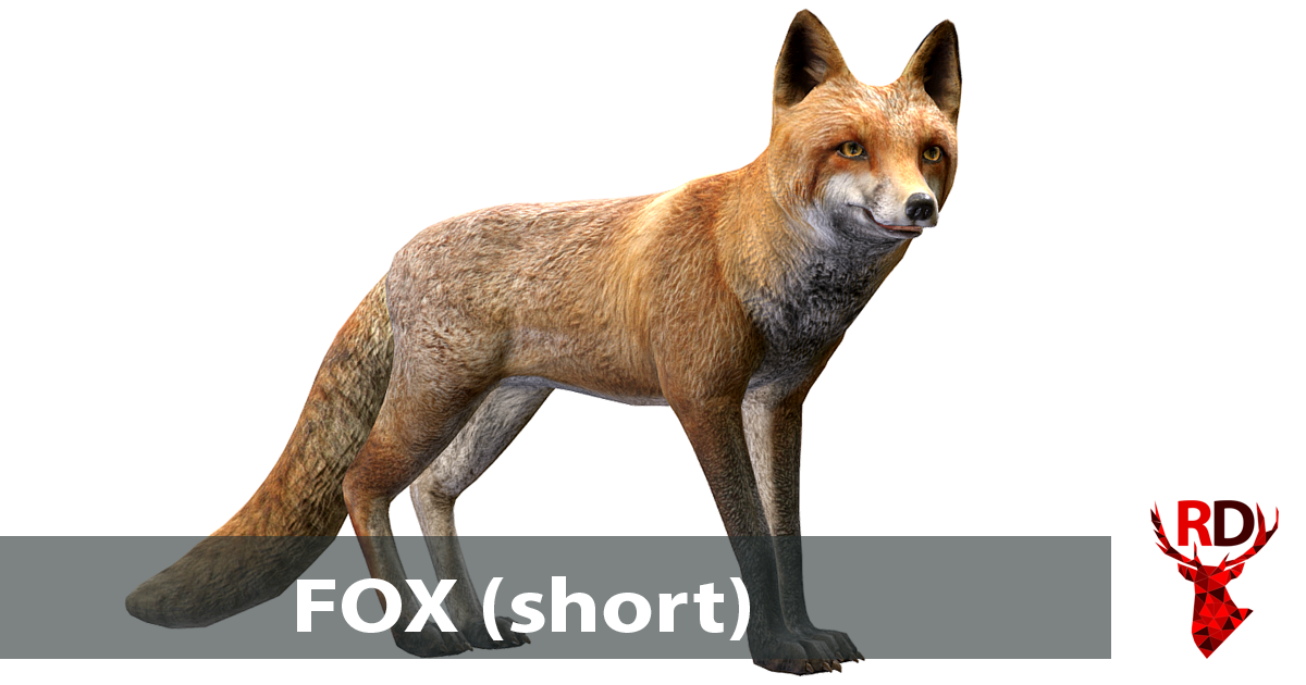 Fox male(short) | Characters | Unity Asset Store