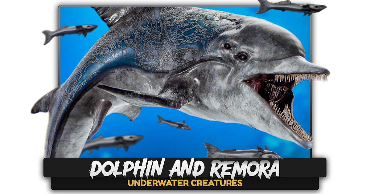 Dolphin and Remora - Realistic 3D Model - Animated Marine Monster - #62 ...