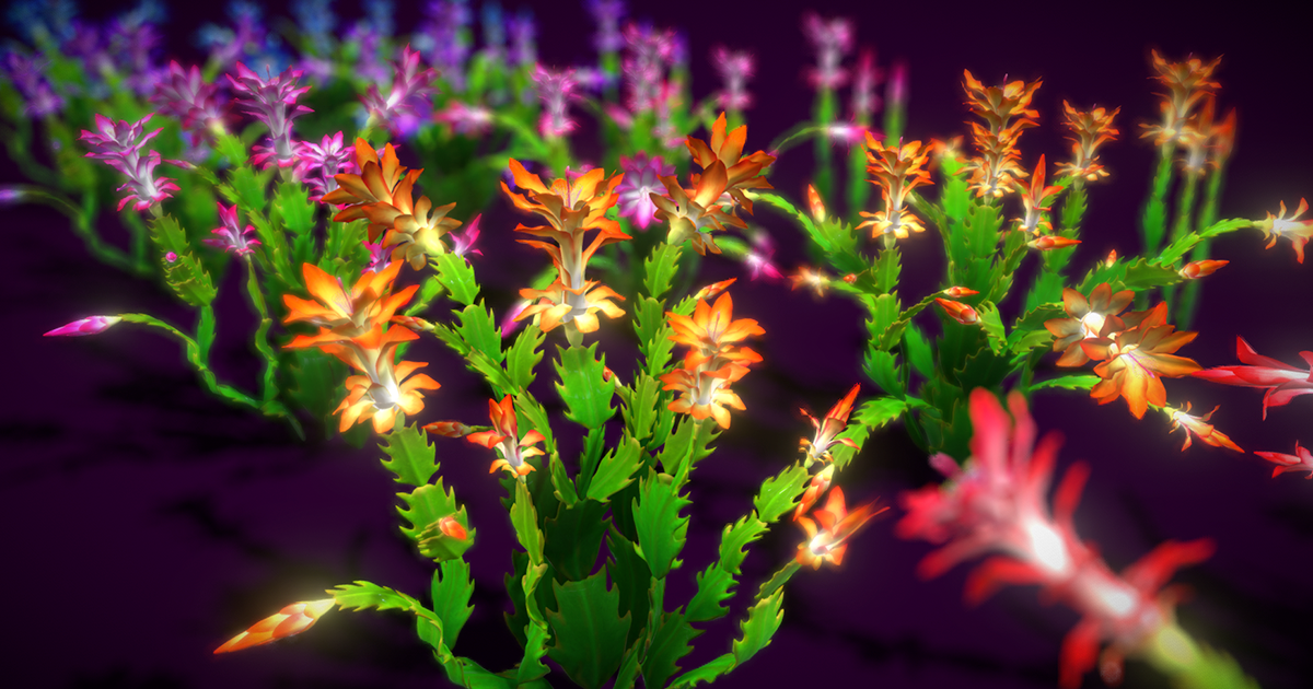 Flower Christmas Cactus | 3D Flowers | Unity Asset Store