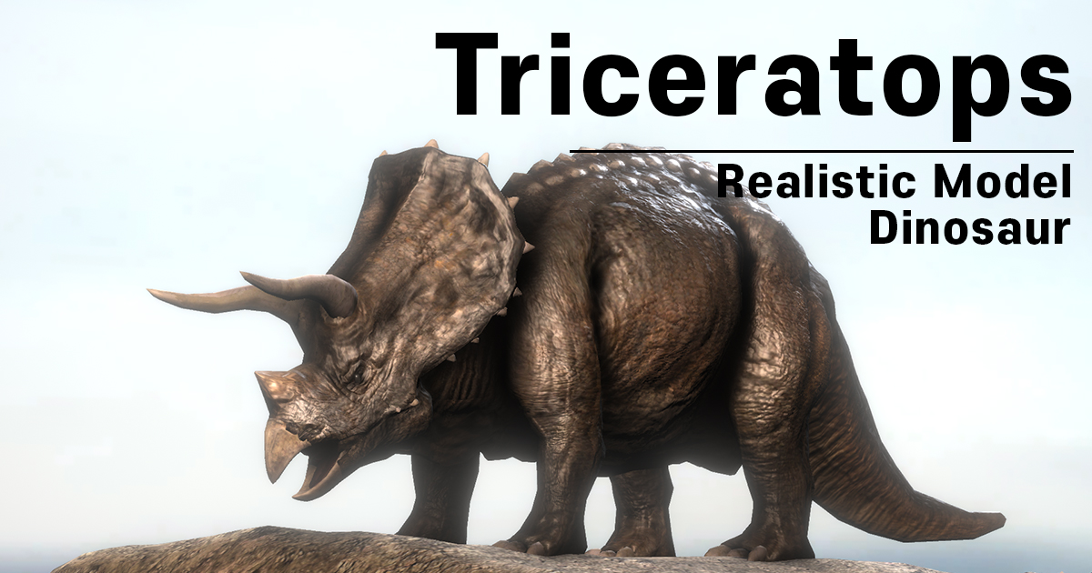 Triceratops_POLYMORPH | 3D Animals | Unity Asset Store